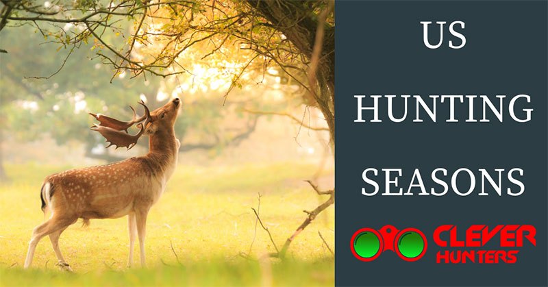 Everything About Hunting Seasons in the United States, 2018 - 2019
